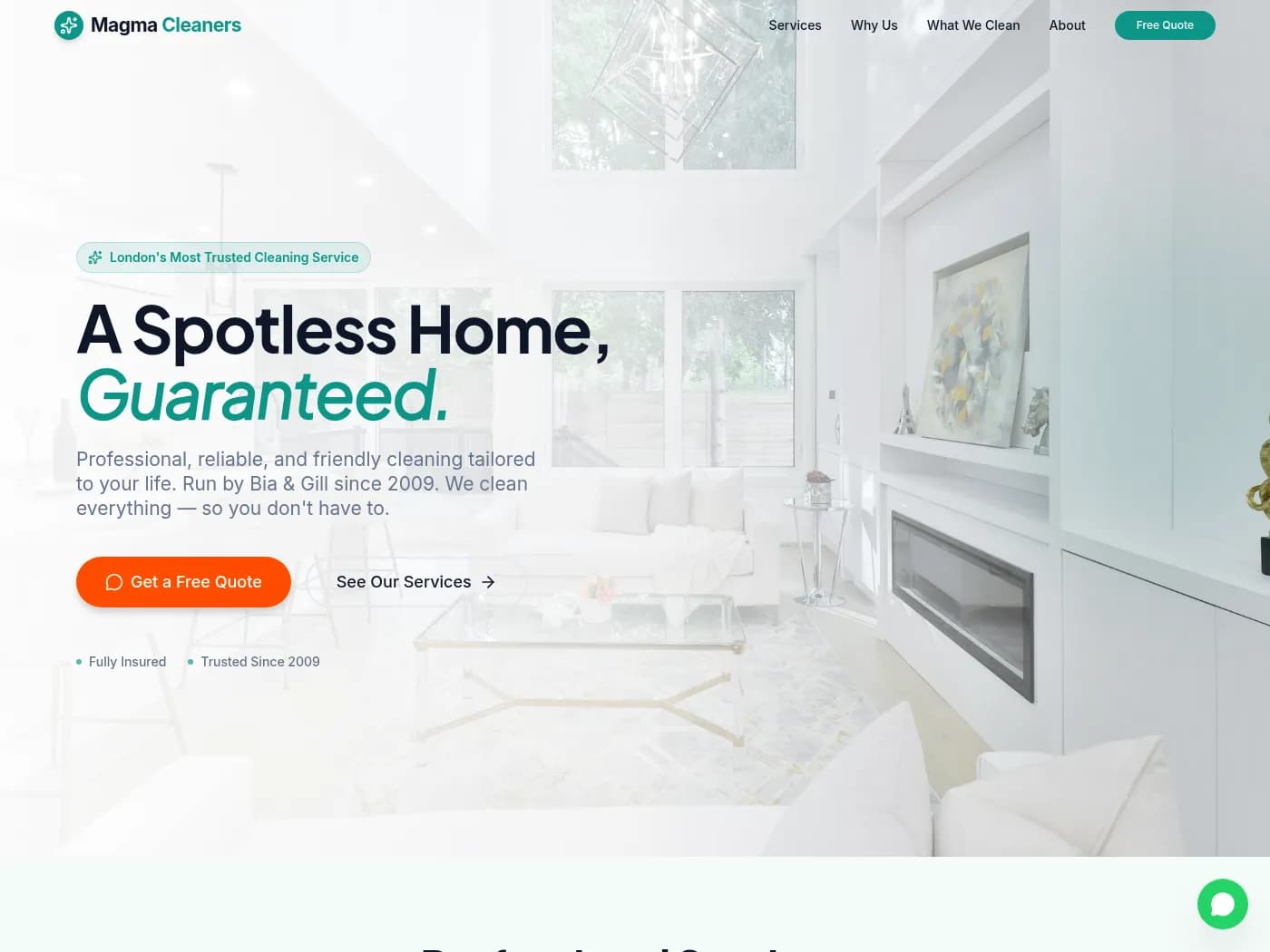 Magma Cleaners Website