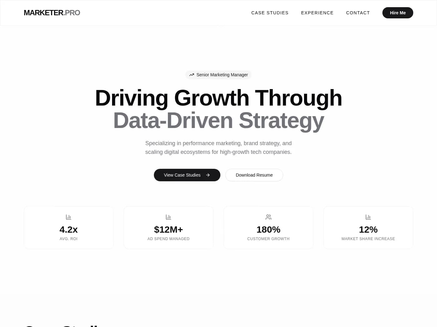 Marketer Portfolio Pro