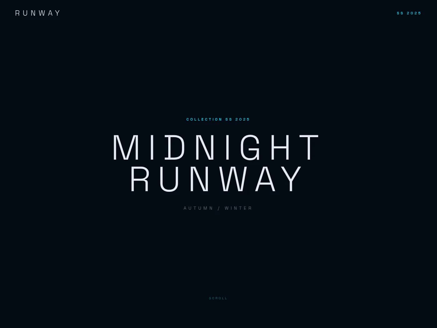 Midnight Runway Landing