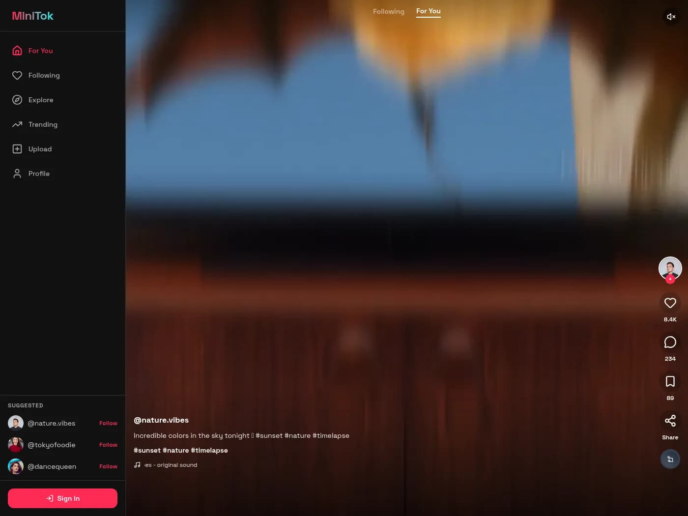 MiniTok Video Hub
