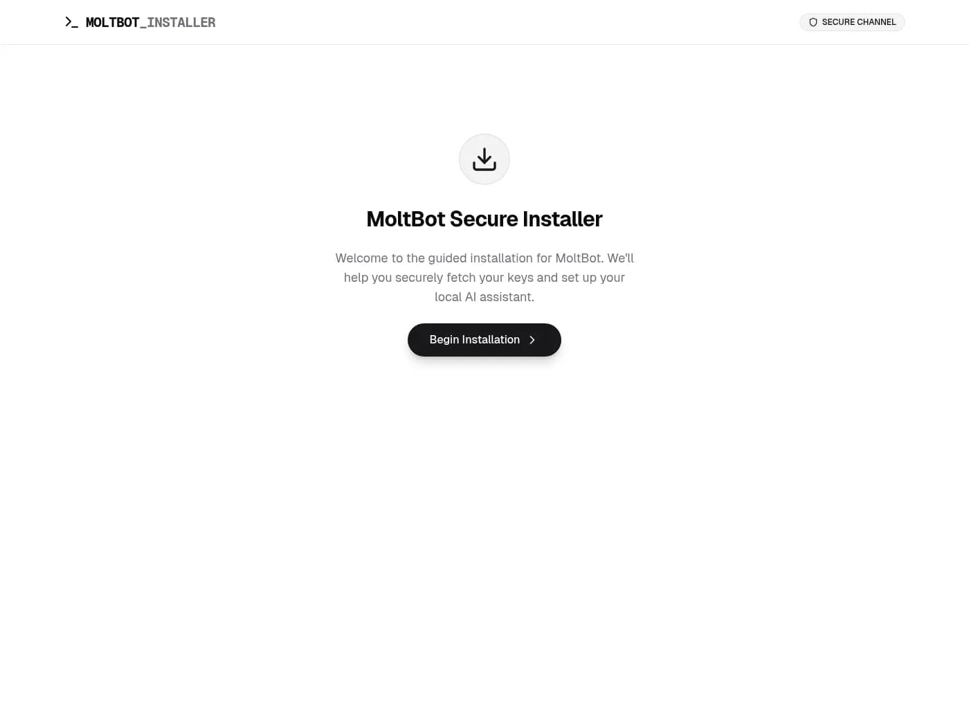 MoltBot Secure Installer