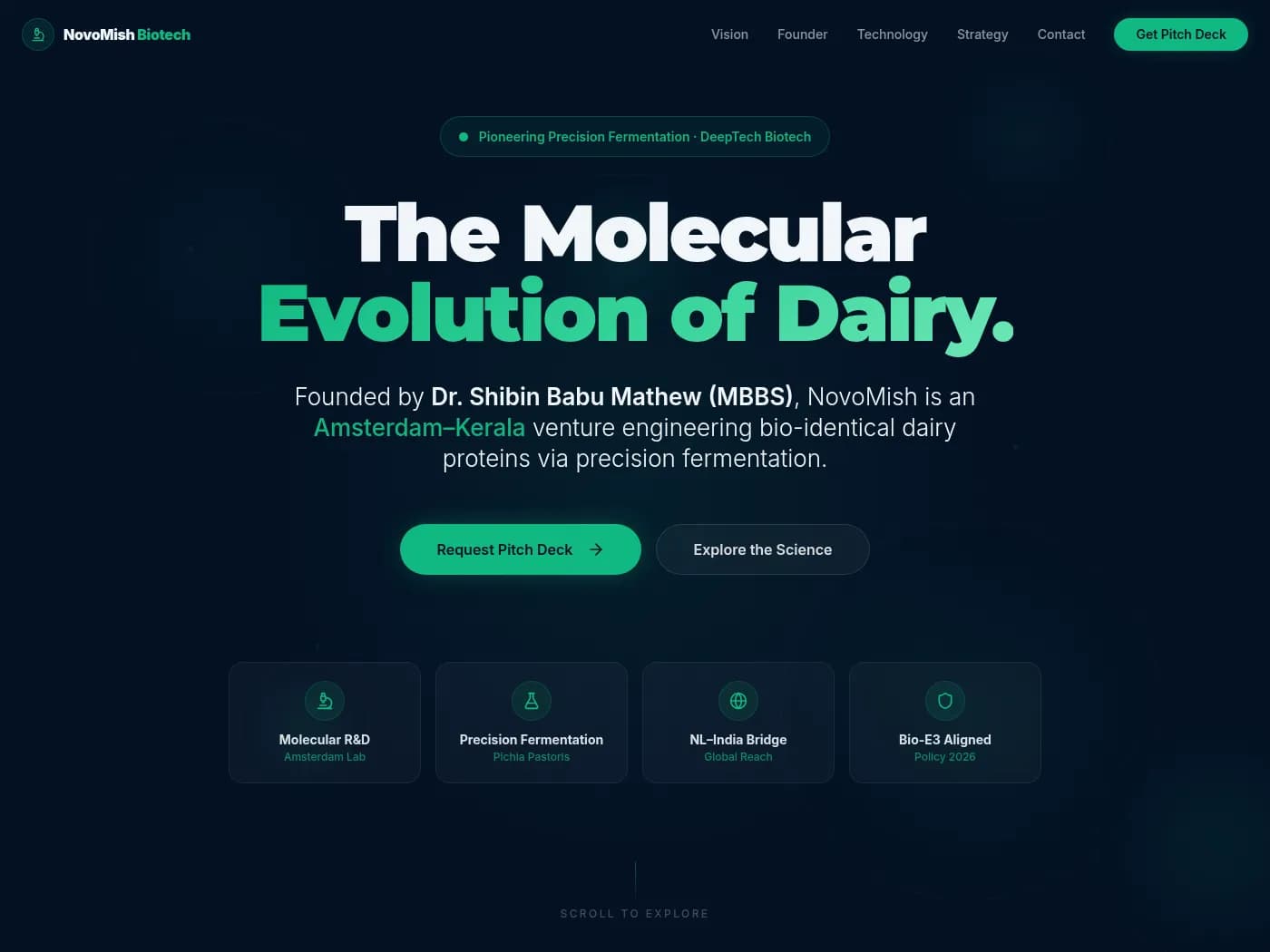 NovoMish Vision Page