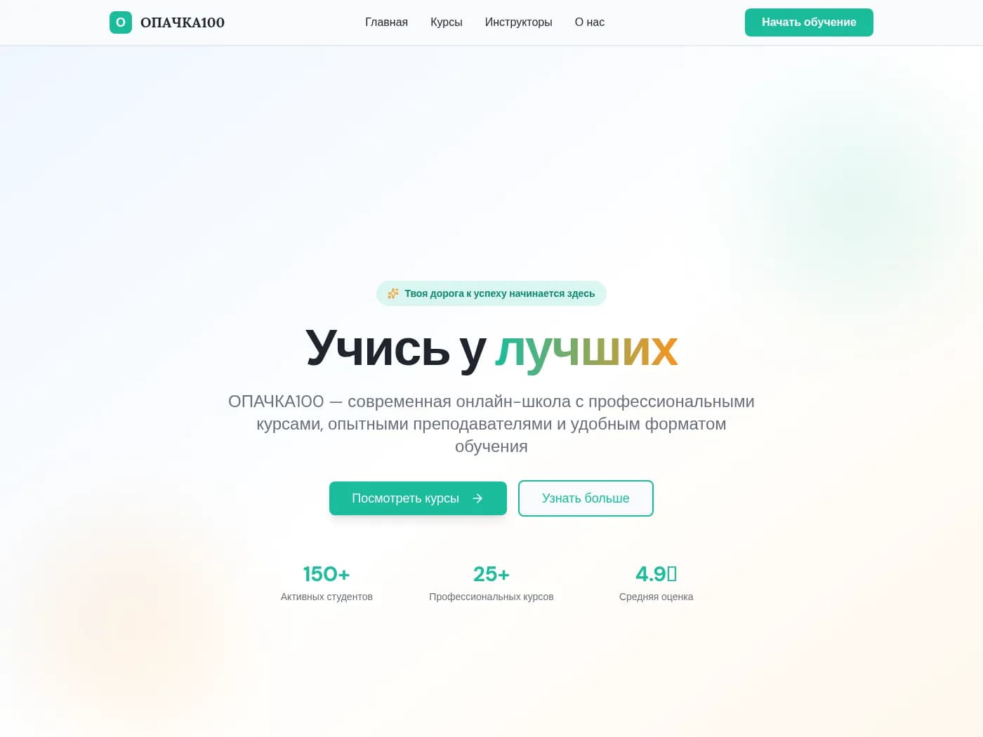 ОПАЧКА100 Online School