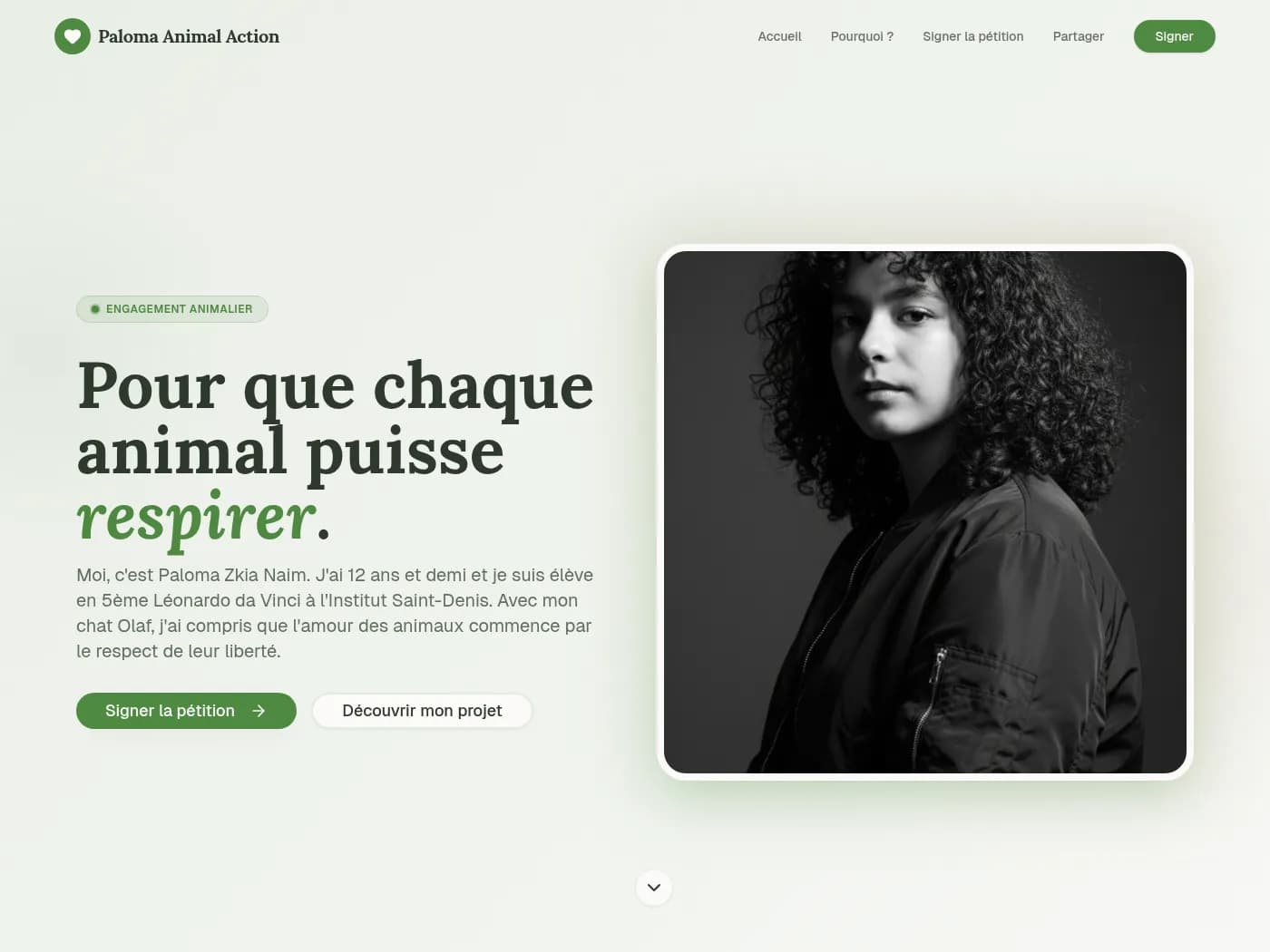 Paloma Animal Action