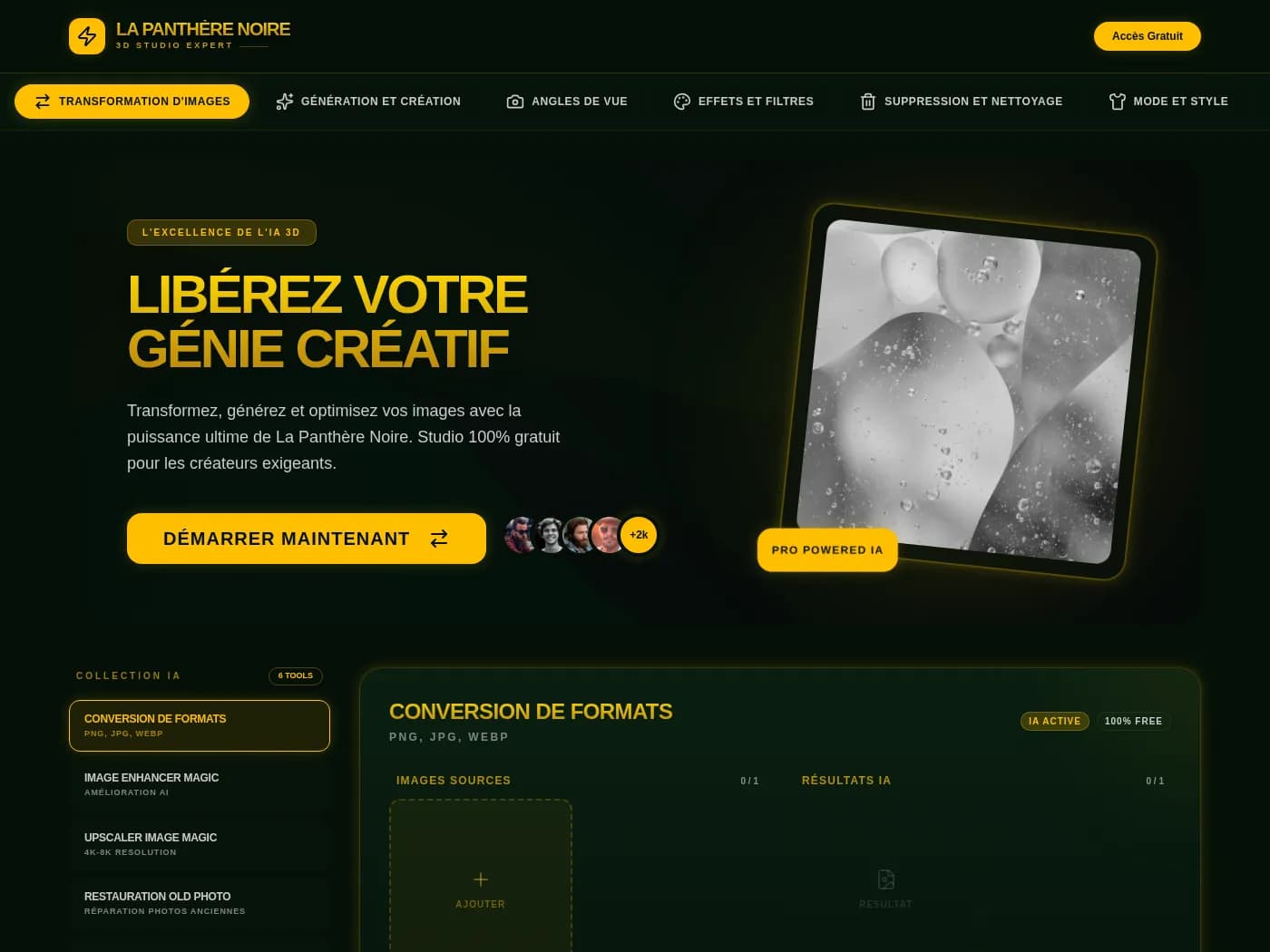 La Panthère Noire 3D Studio