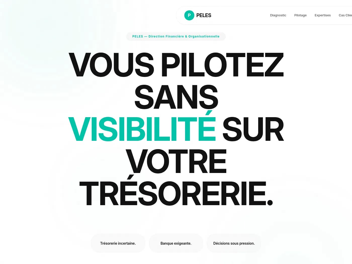 PELES Luxe Finance Site