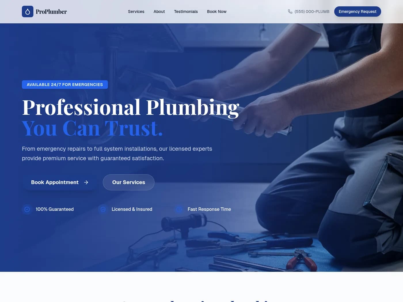 Pro Plumber Website
