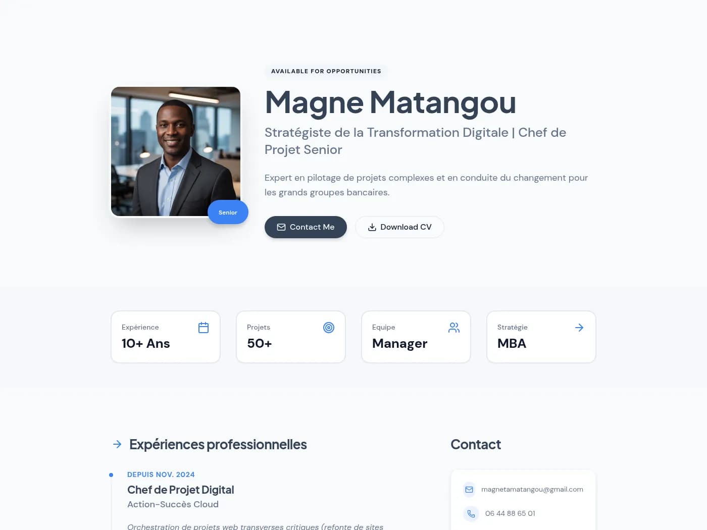 Magne Portfolio Builder