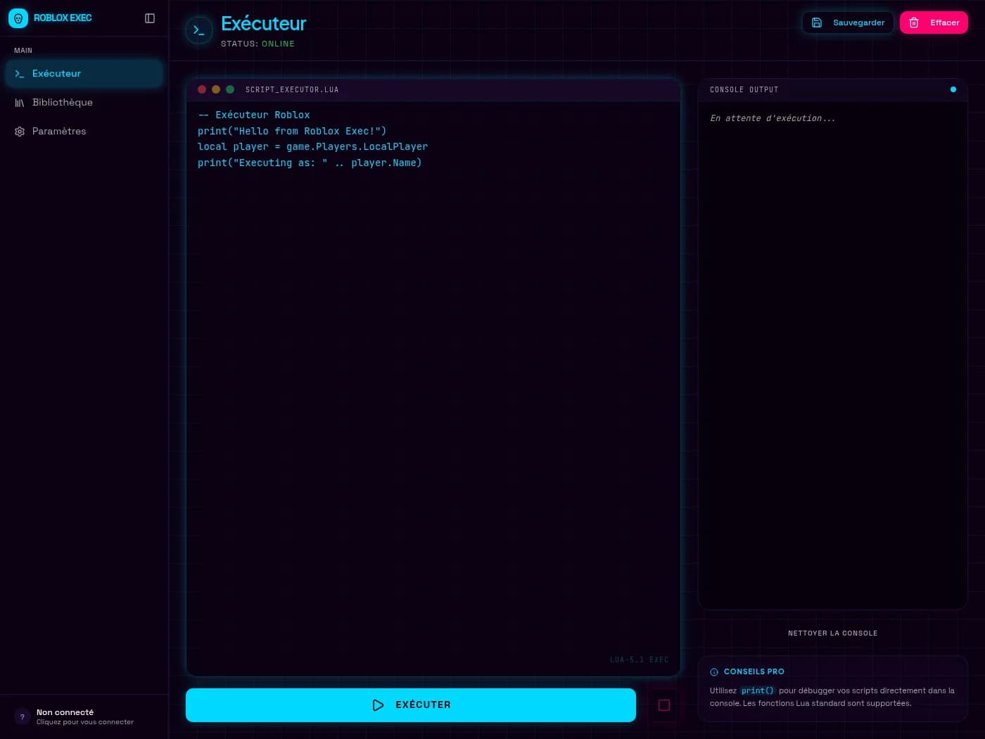 Roblox Script Executor