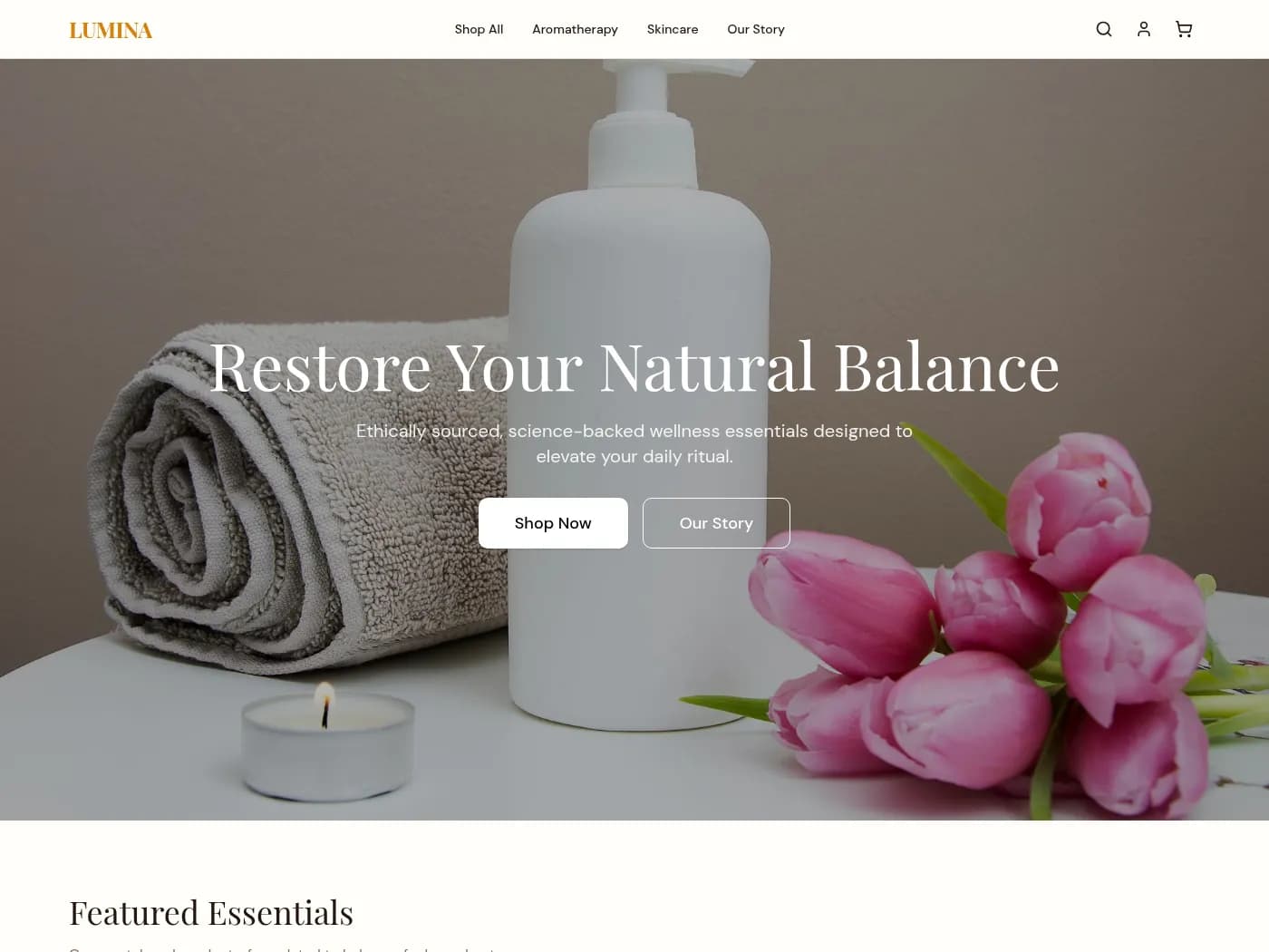 Shopify Store Clone