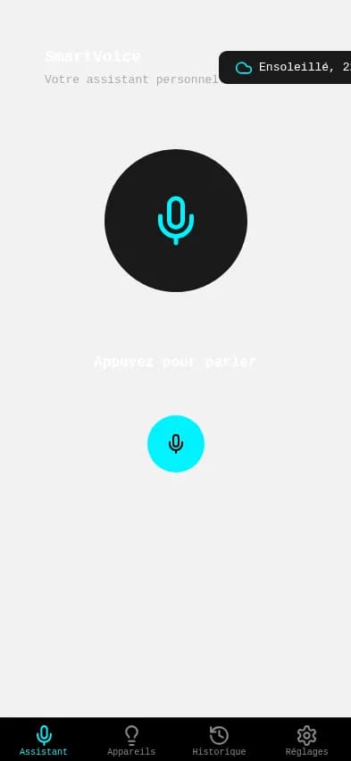 SmartVoice Assistant App