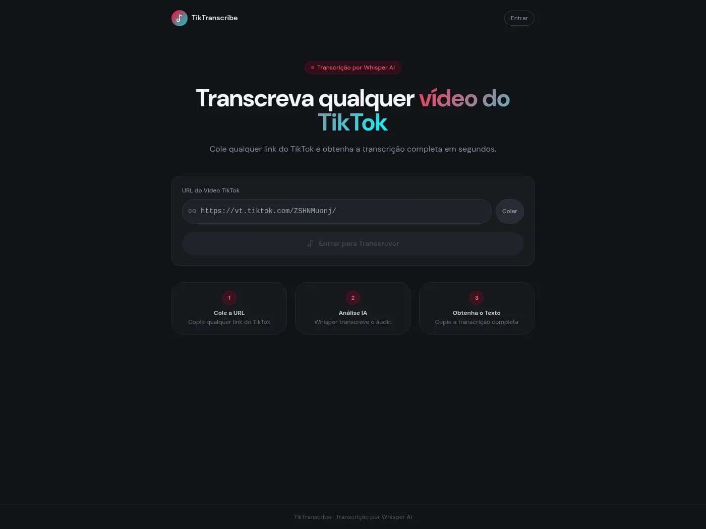 TikTok Video Transcriber