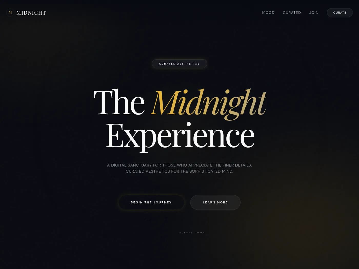 Vibe Website