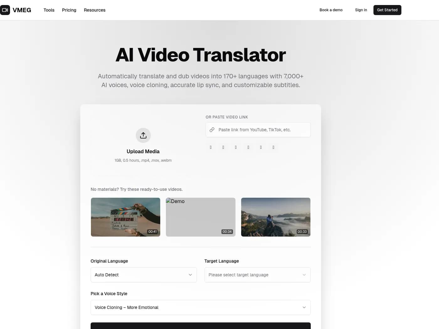 Vmeg Video Translator