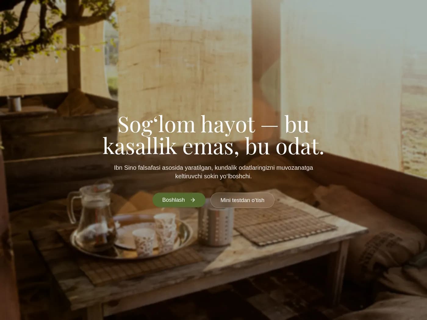 VITA Lifestyle Companion