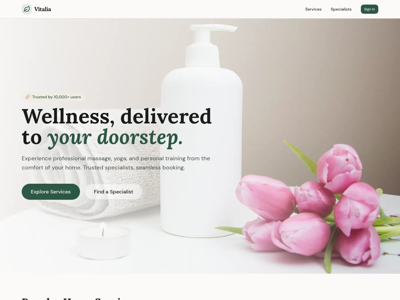 Wellness Home Services