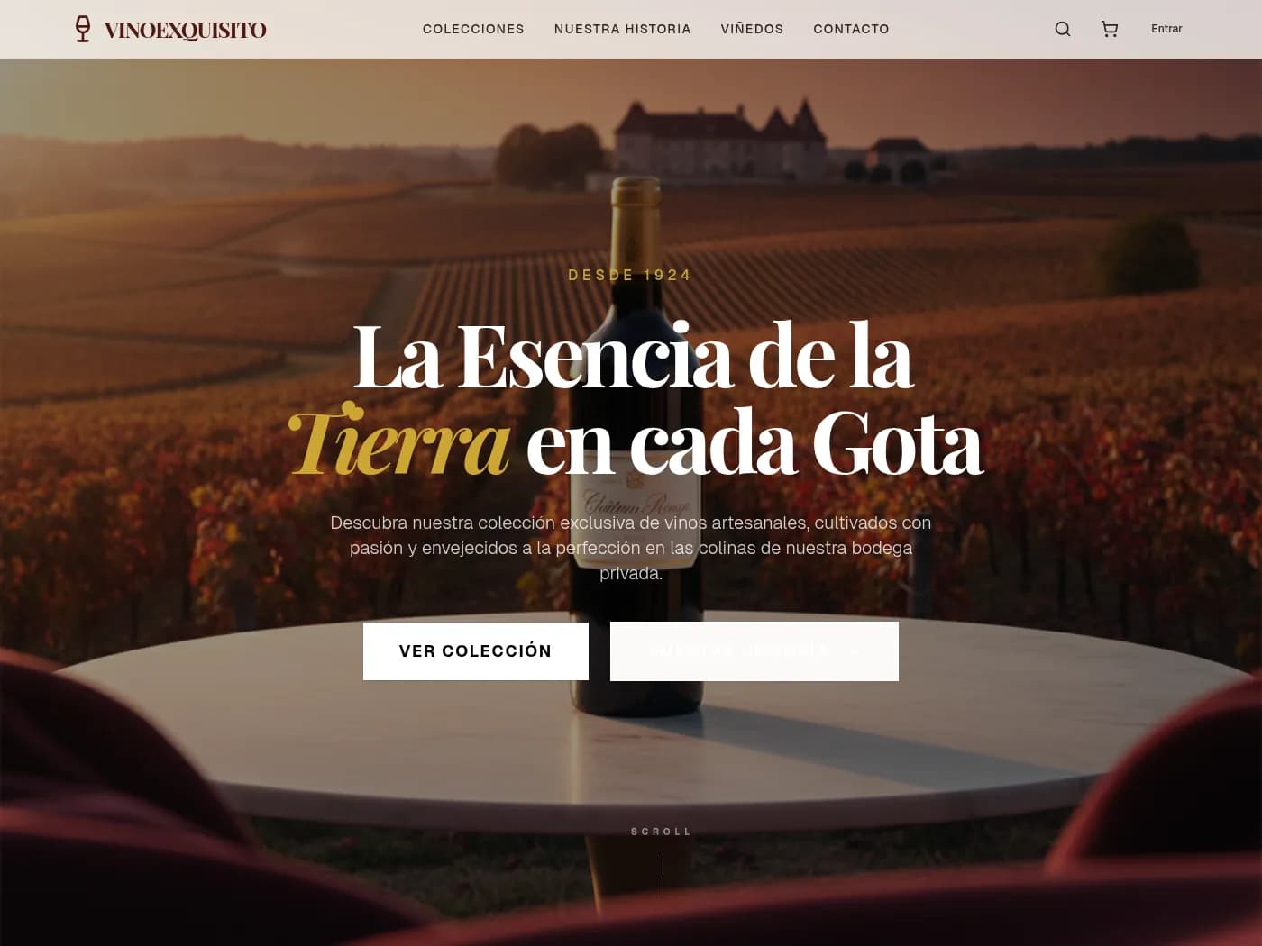 WineShop Web Launch
