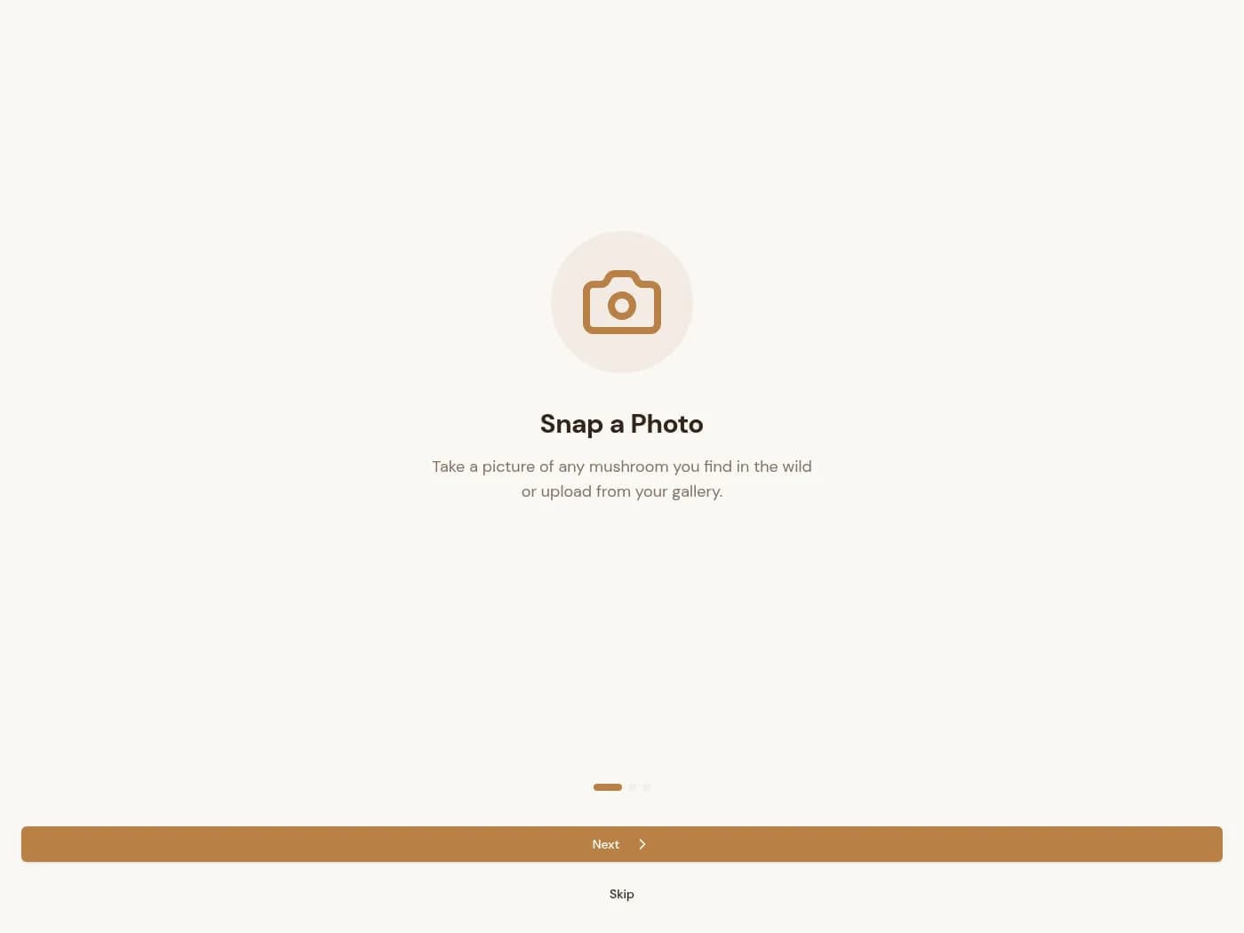 AI Mushroom Identifier App - Complete UI Flow