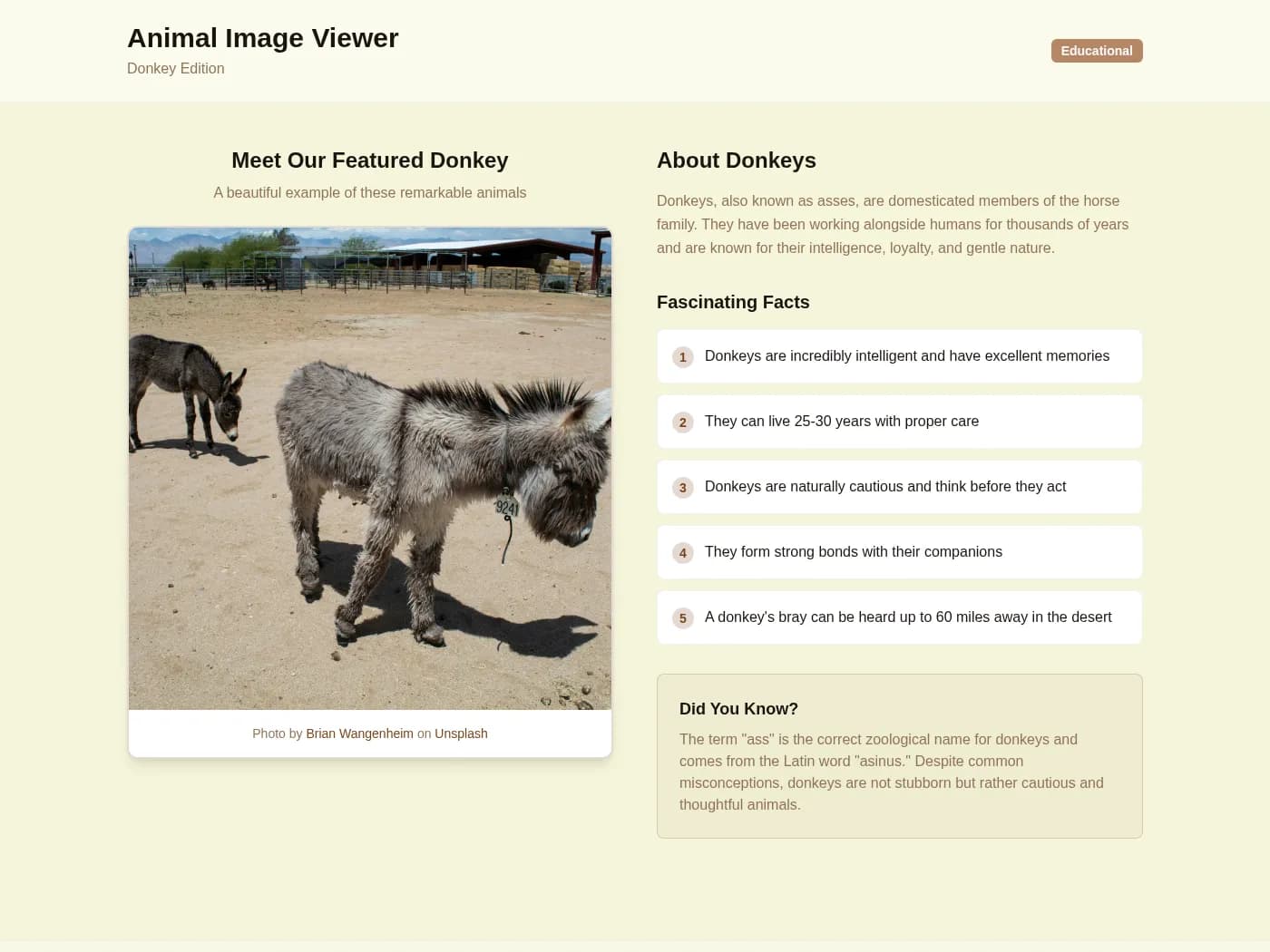 Animal Image Viewer: Donkey Edition