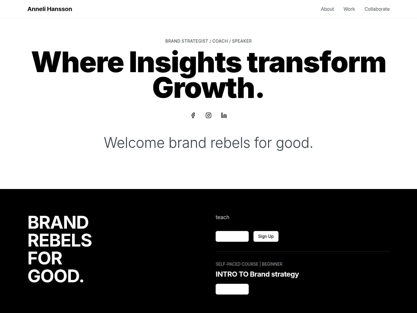 Anneli Hansson Portfolio Clone