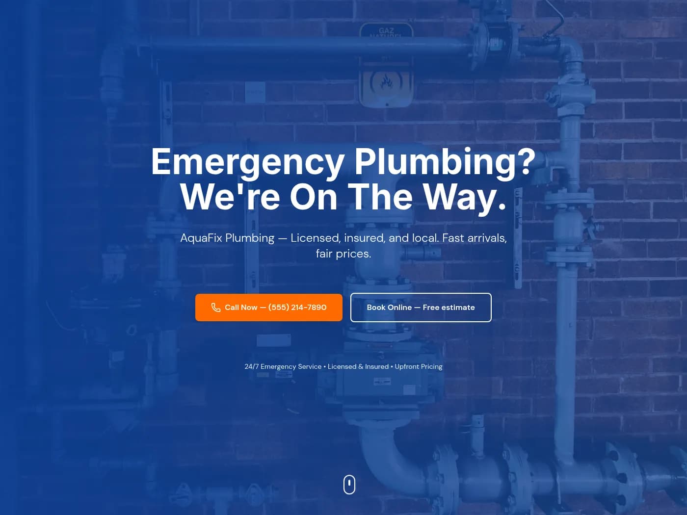 AquaFix Plumbing Co. One-Page Website