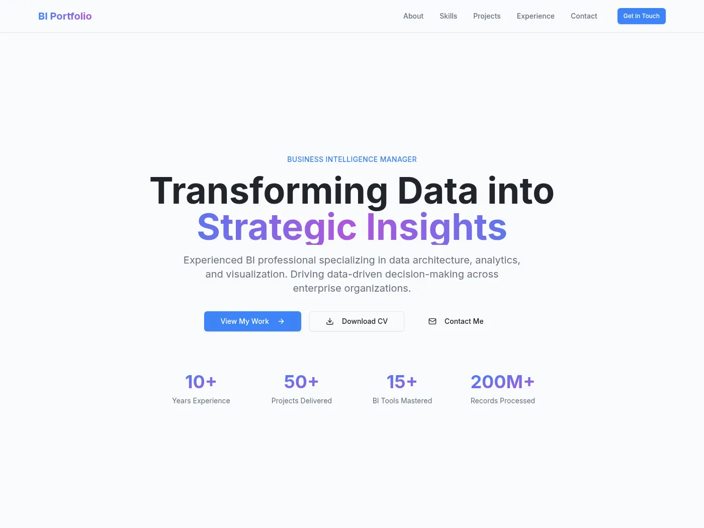 BI Manager Professional Portfolio