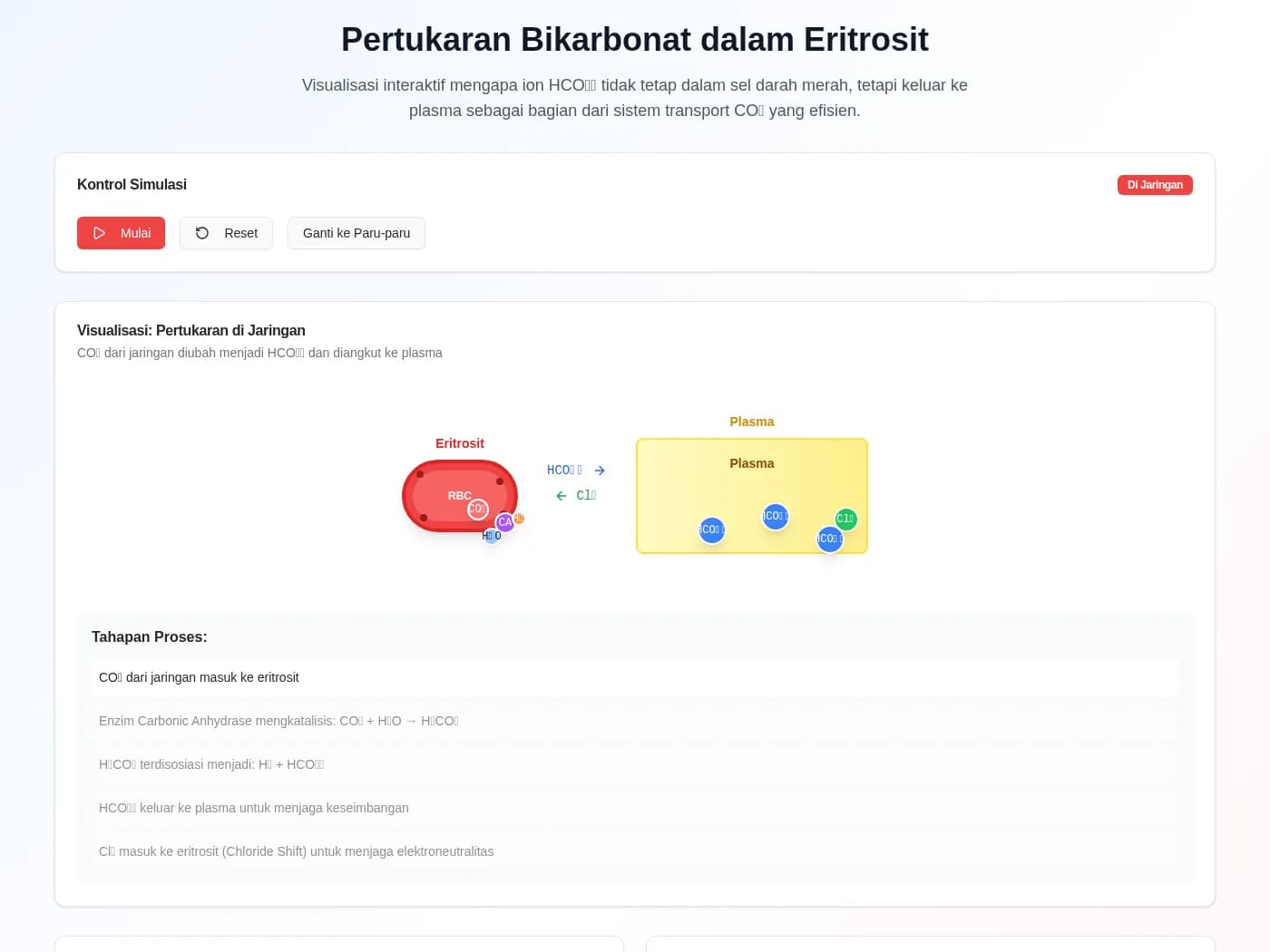Interactive Visualization of Bicarbonate Exchange in Red Blood Cells