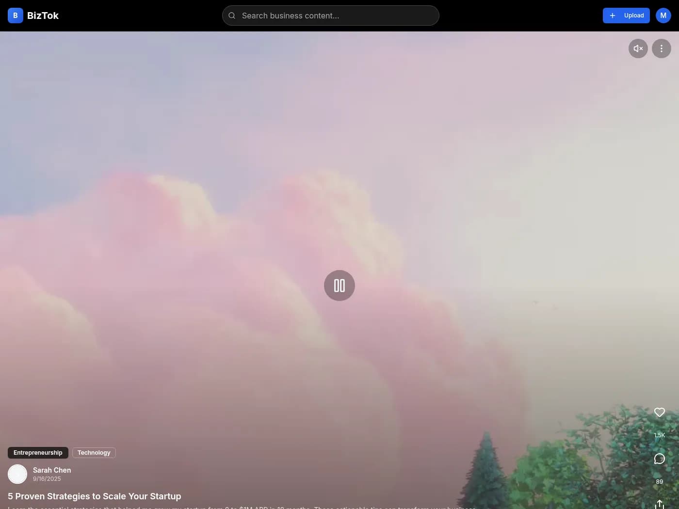 BizTok: Business Video Sharing Platform