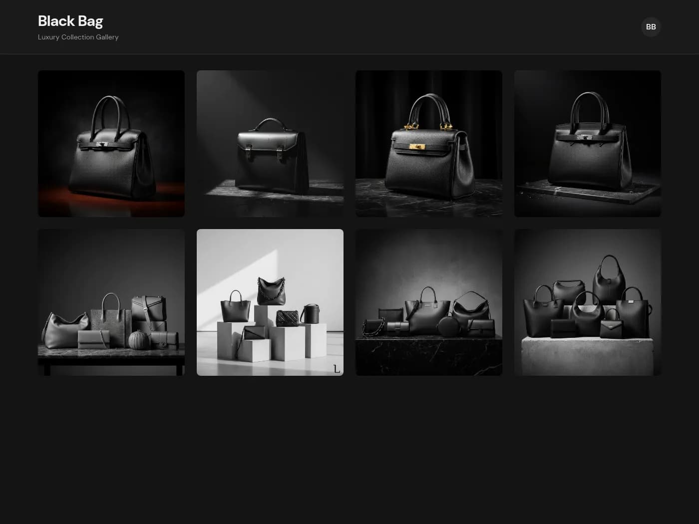 Black Bag Photo Gallery