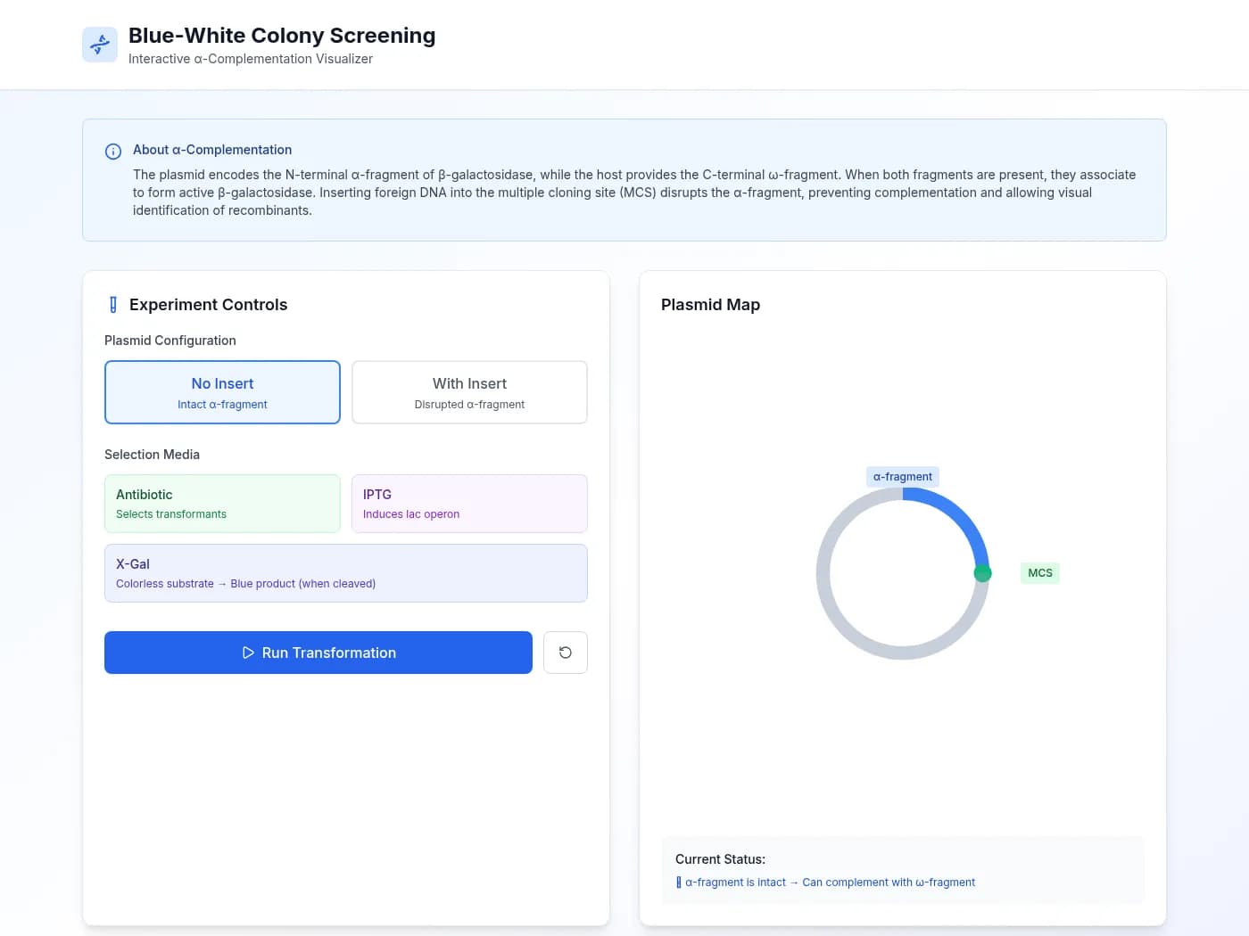 Blue-White Colony Screening Visualizer