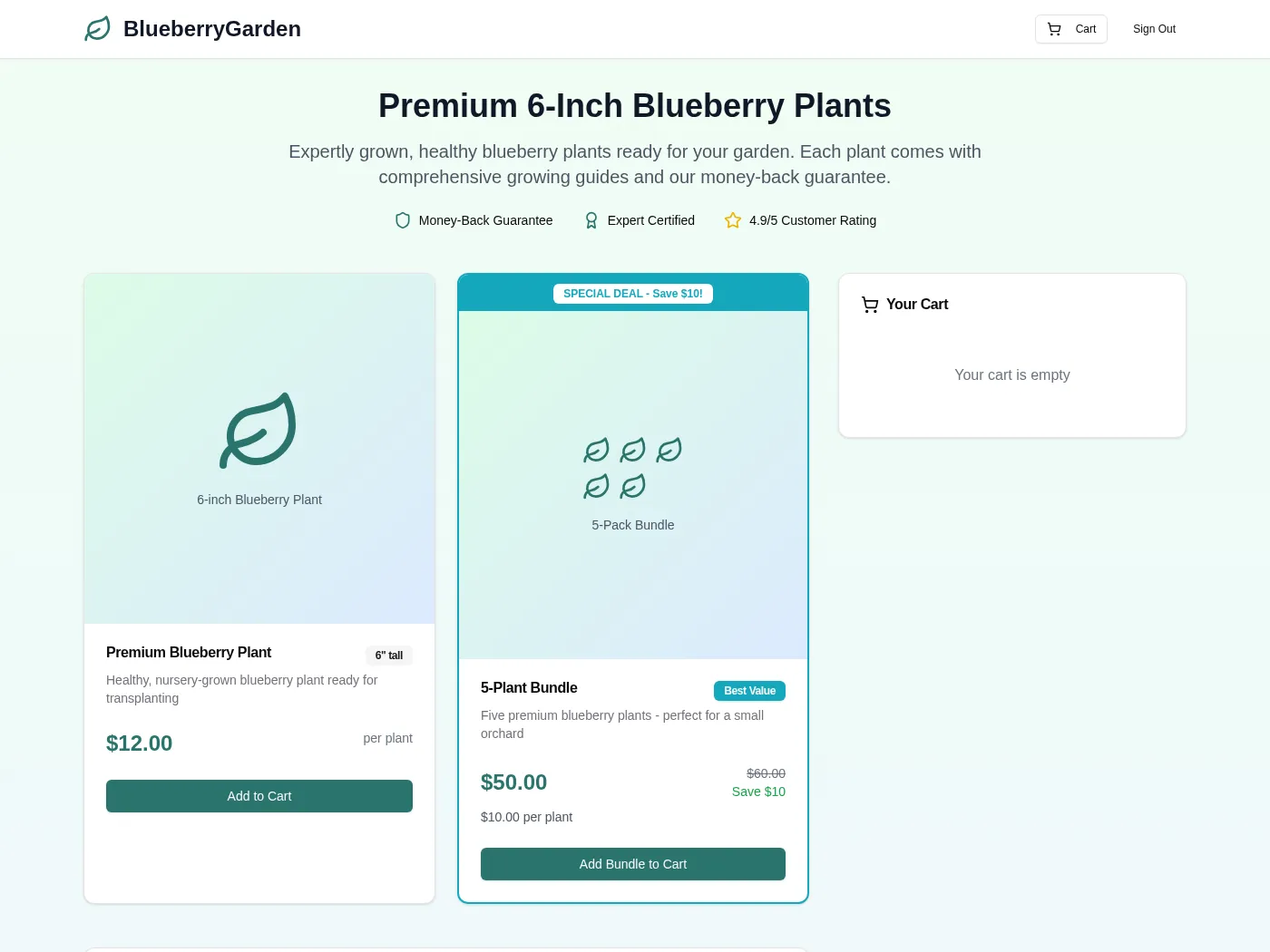 Blueberry Plant Online Storefront