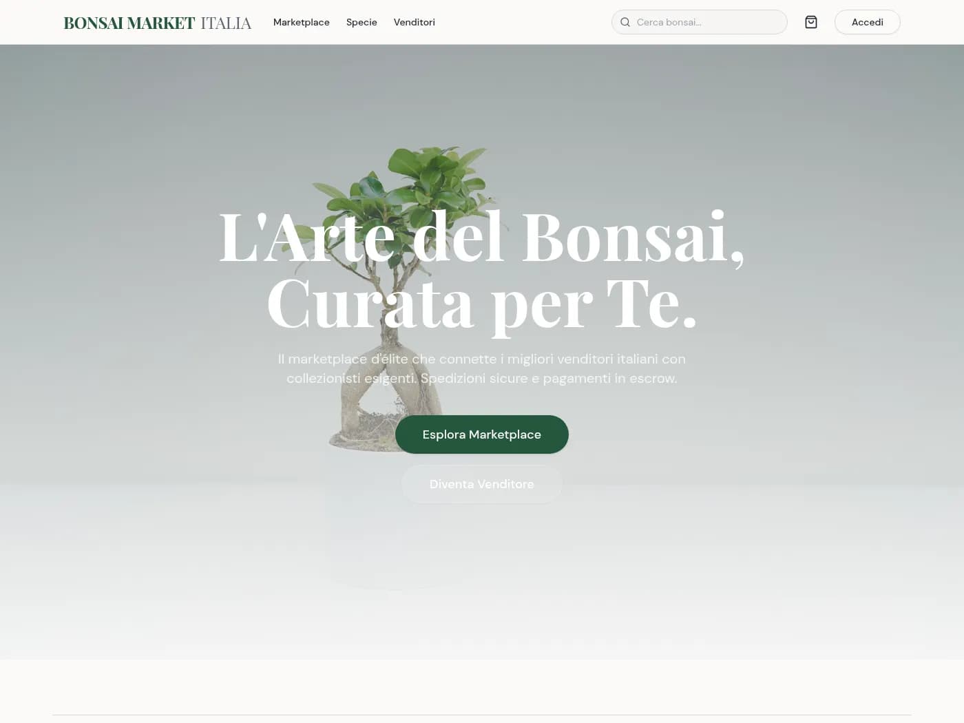 Bonsai Market Italia