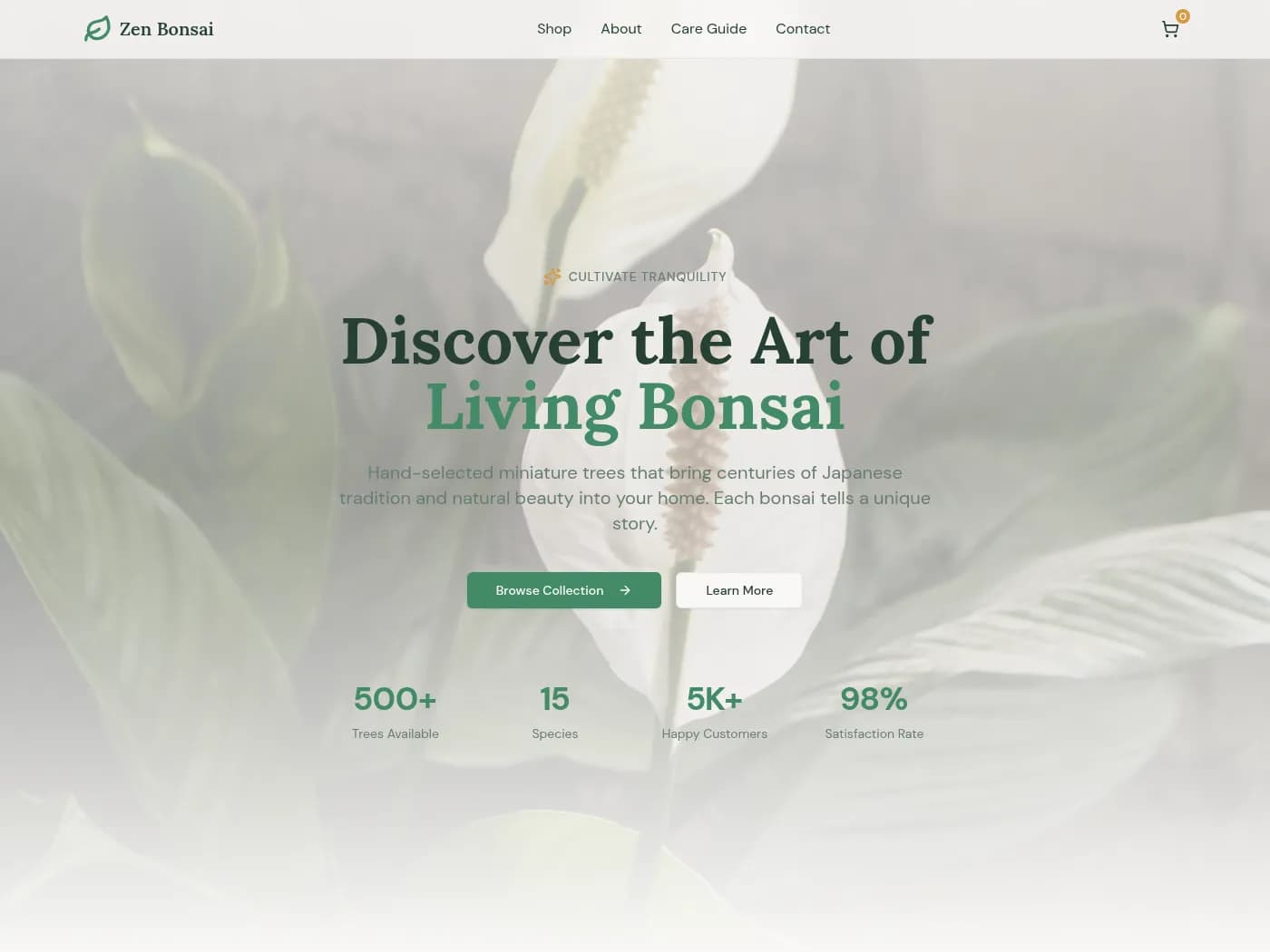 Bonsai Tree Shop