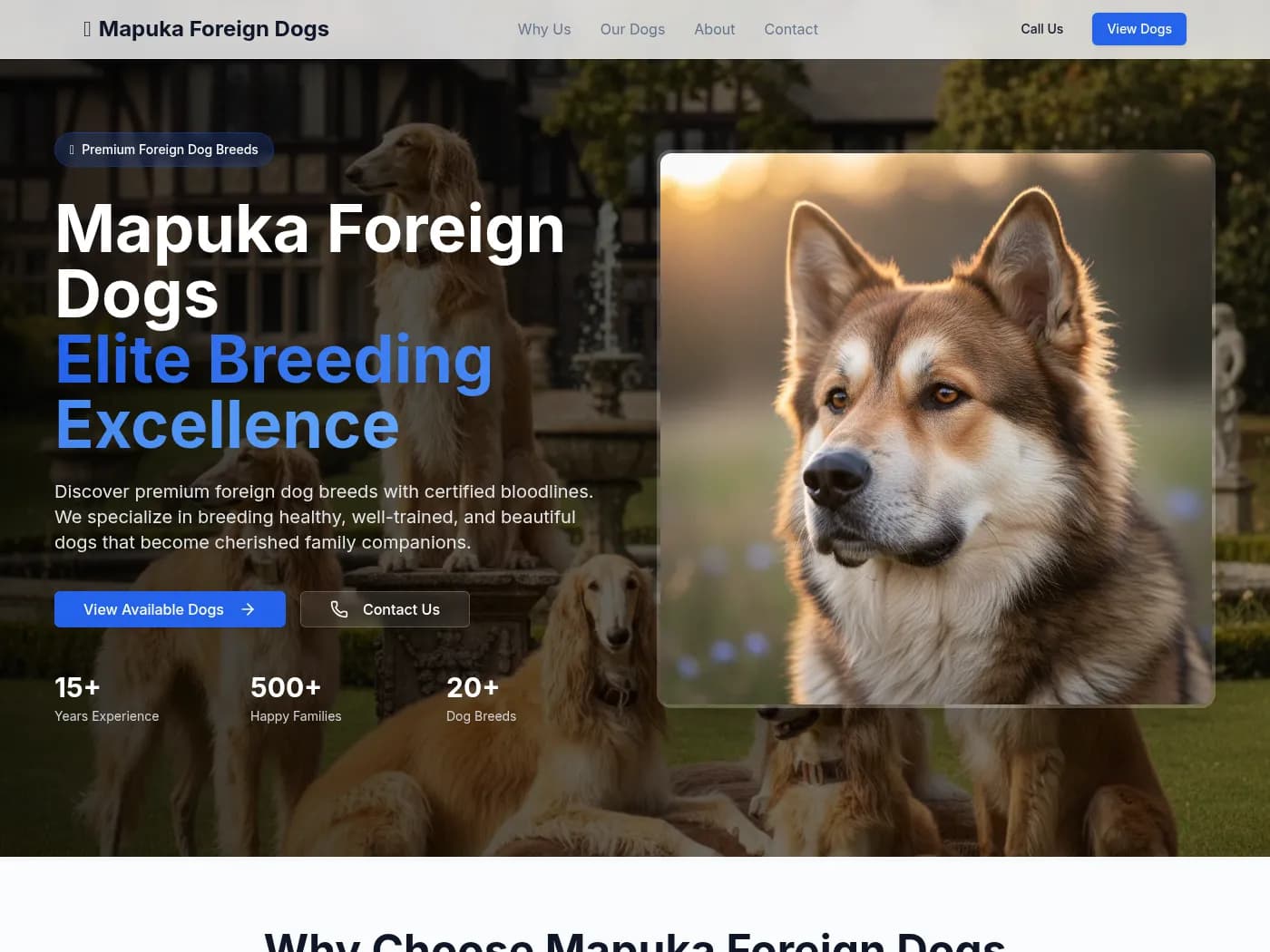 Business Marketing Website