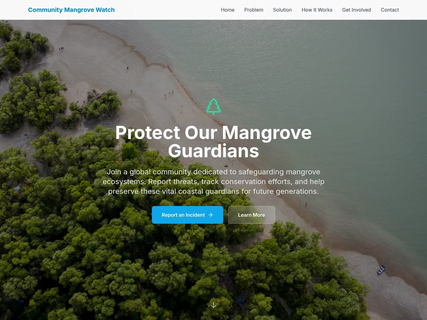 Community Mangrove Watch – Safeguarding Nature, One Report at a Time
