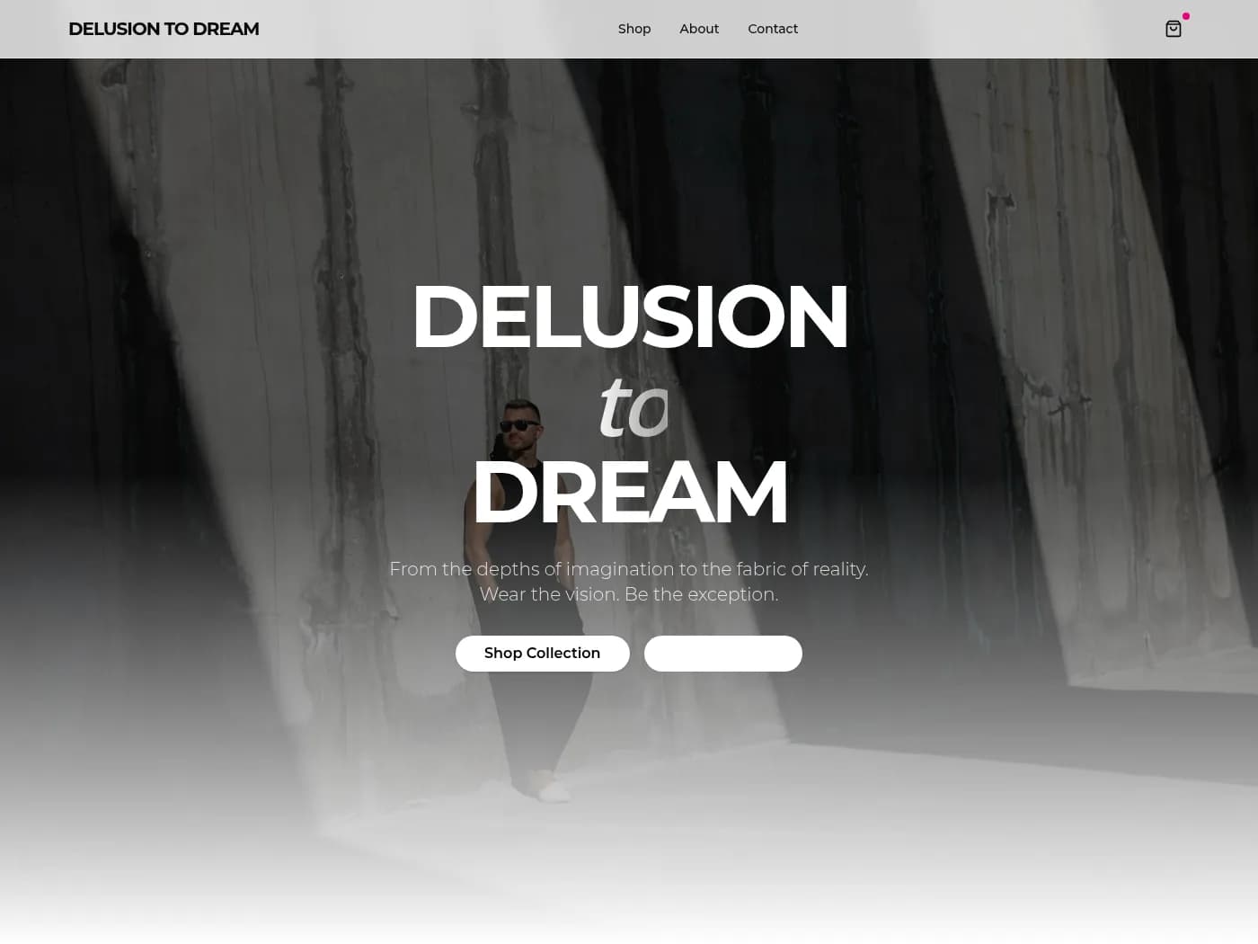 Delusion to Dream T-Shirt Brand Website