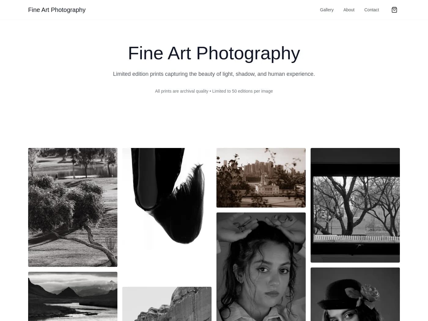 Fine Art Photography Portfolio with Print-on-Demand