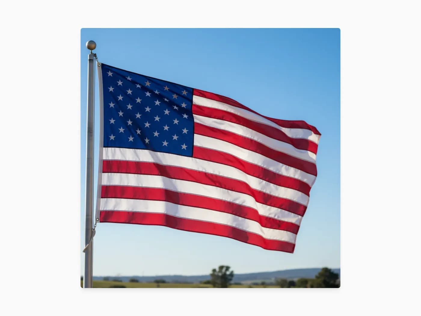 Flag Photo Viewer