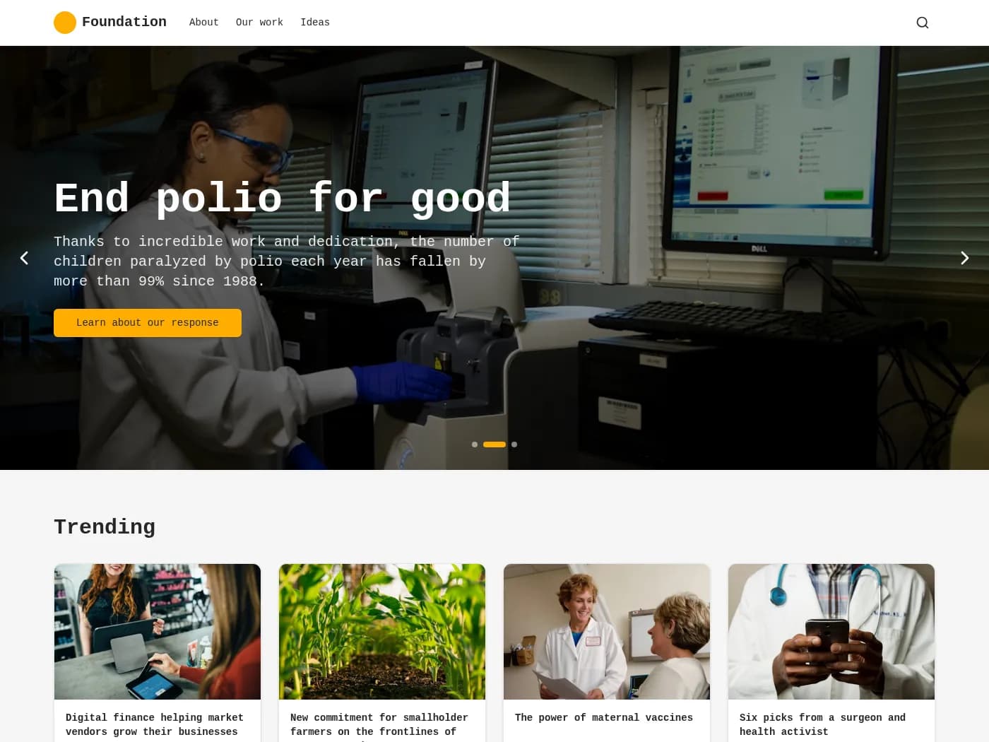 Gates Foundation Style Organization Website