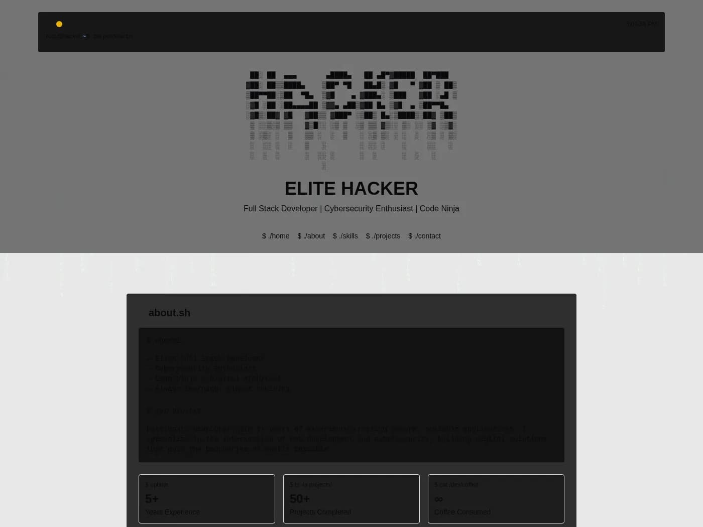 Hacker Themed Portfolio Website
