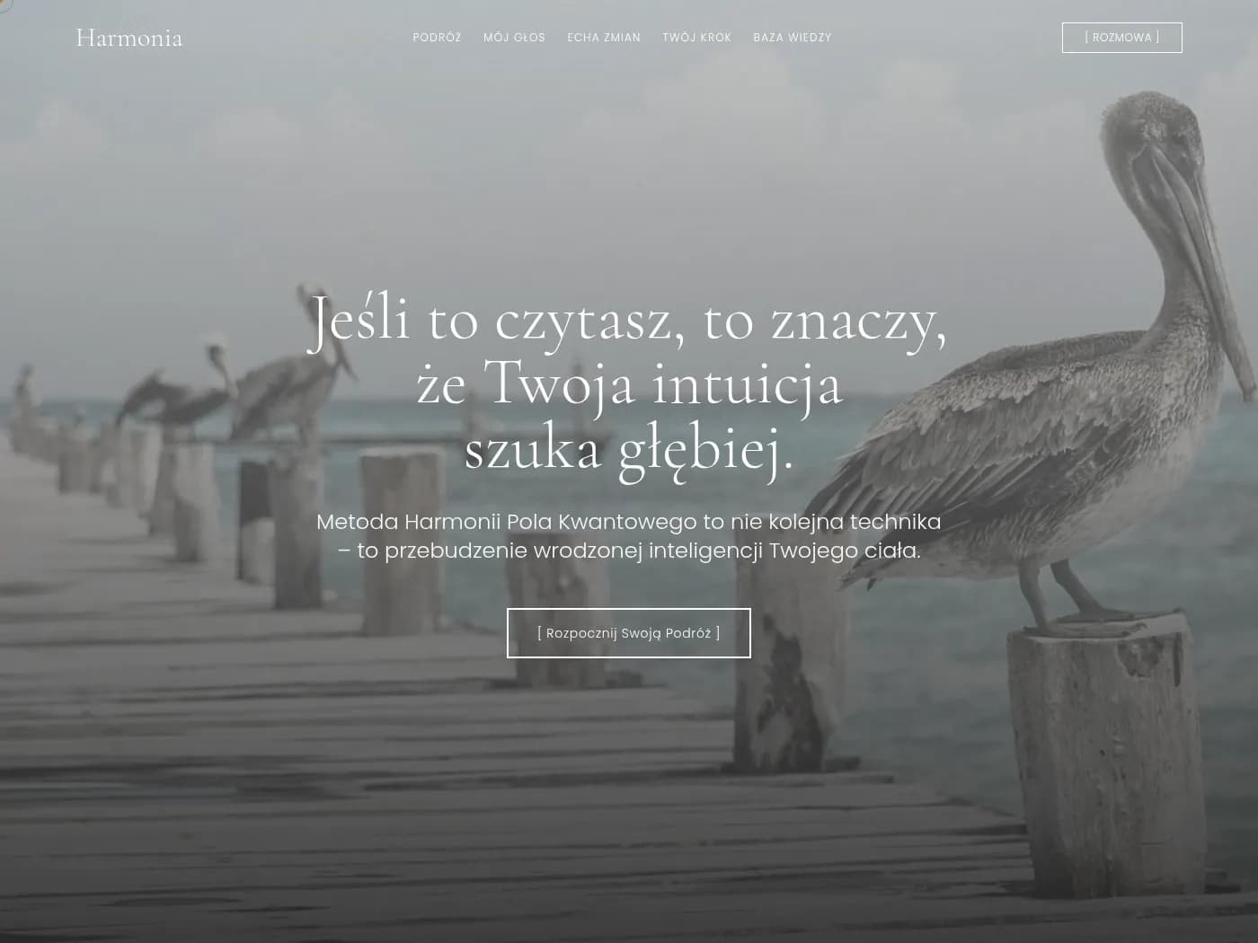 Harmonia Pola Kwantowego – Immersive Holistic Healing Single Page Web Experience