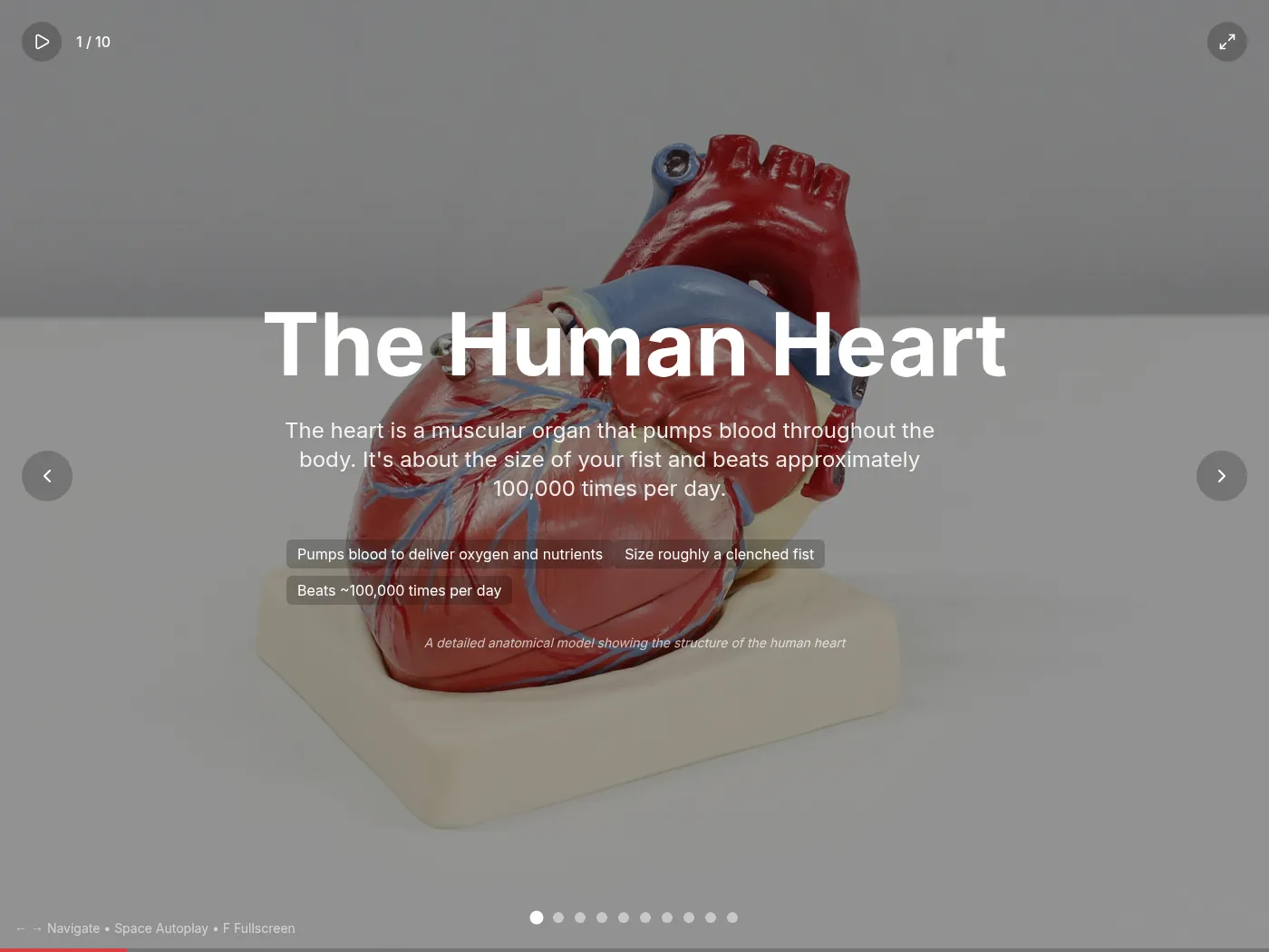 Heart Topic Presentation with Thematic Background Images