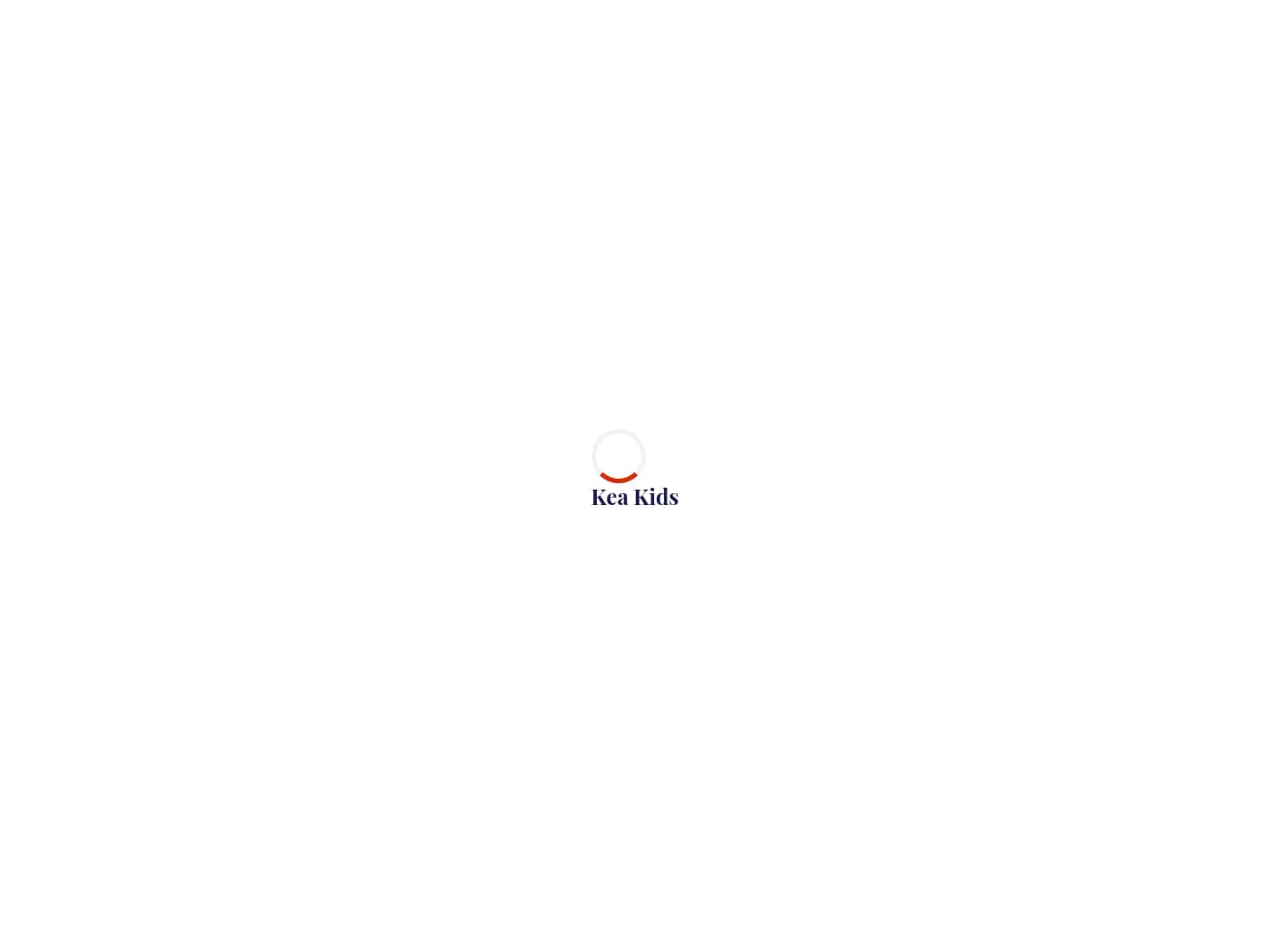 Kea Kids – The World's Most Epic Animated School Landing Page