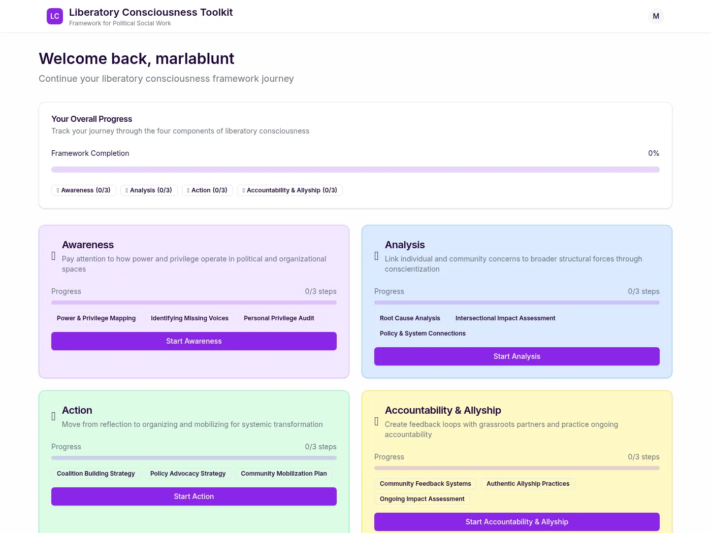 Liberatory Consciousness Framework Toolkit for Political Social Work