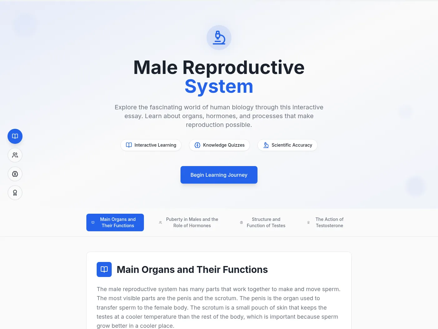 Interactive Essay on the Male Reproductive System