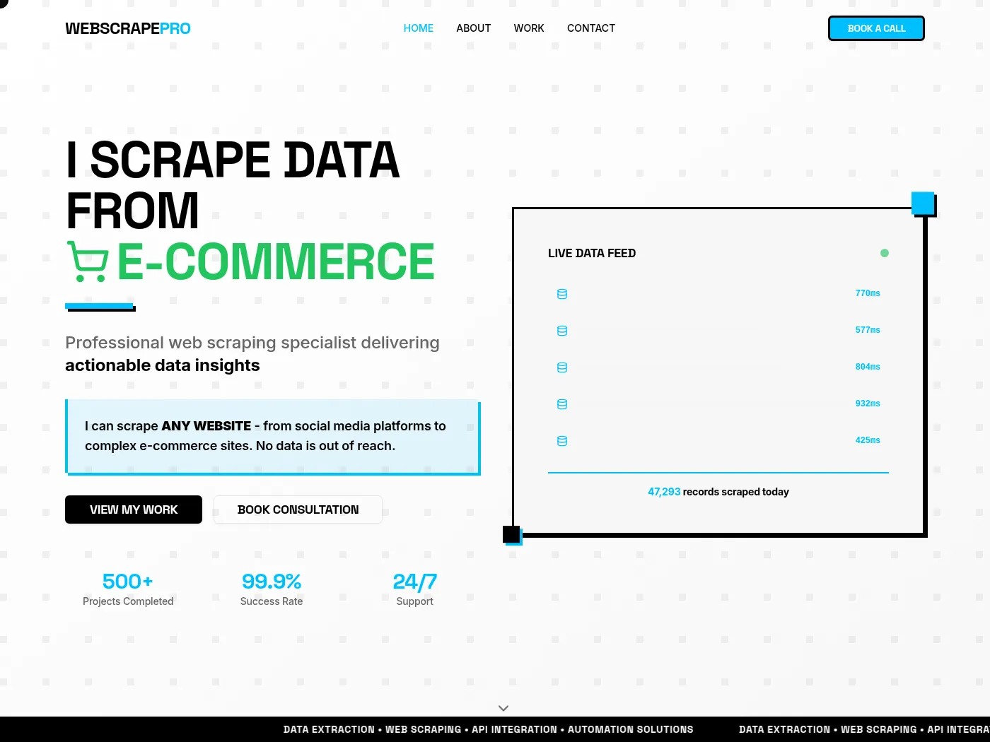 Professional Neo-Brutalist Web Scraping Portfolio Website