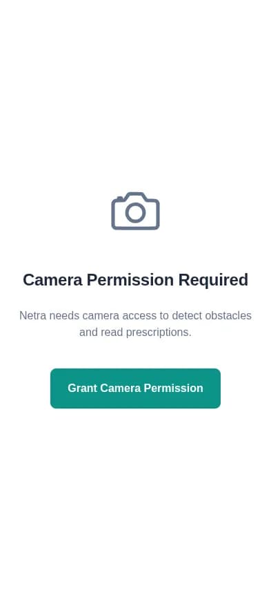 Netra – Voice-Driven Assistant for the Blind and Visually Impaired