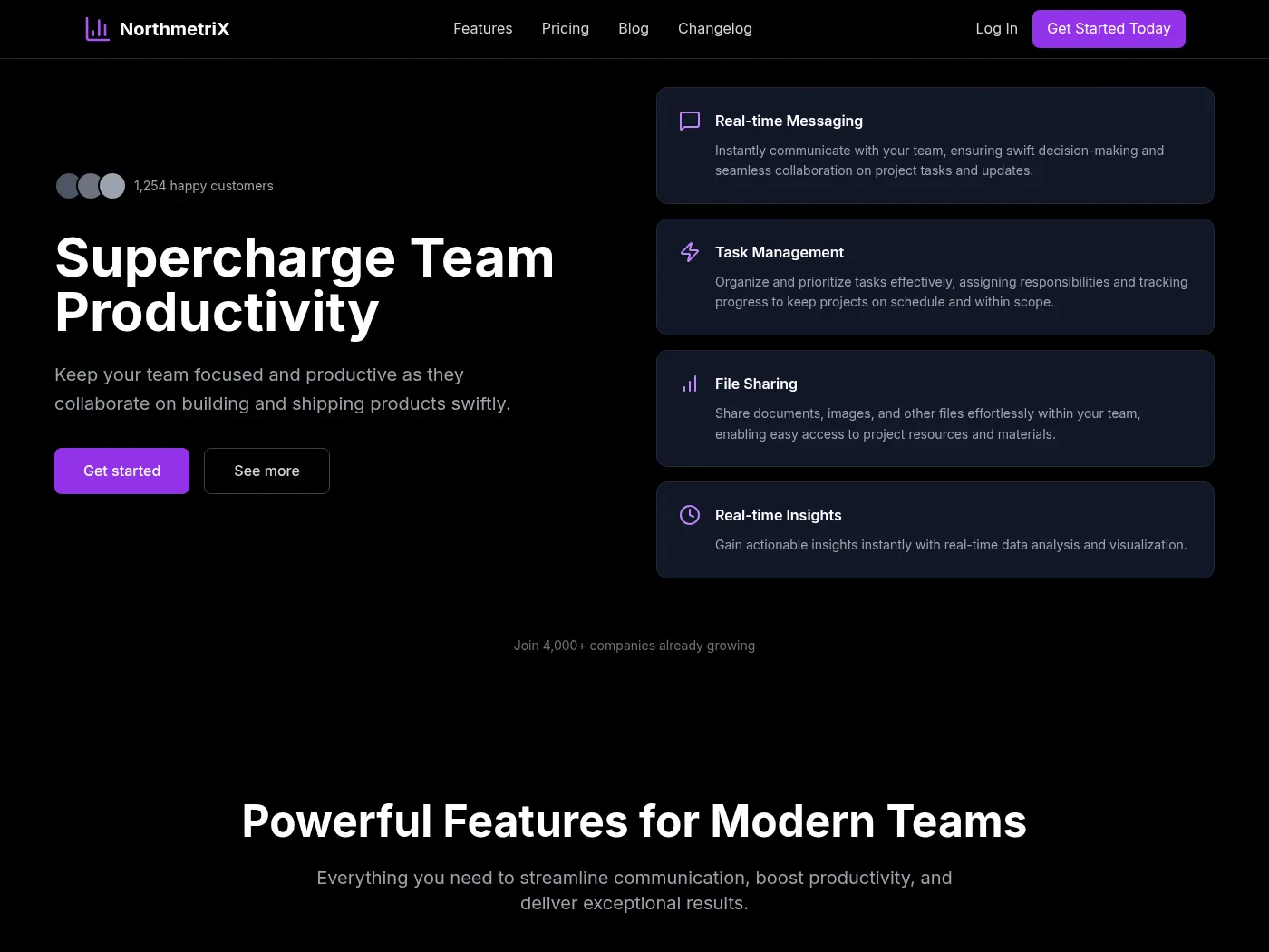 NorthmetriX Dark-Mode Marketing Website Redesign