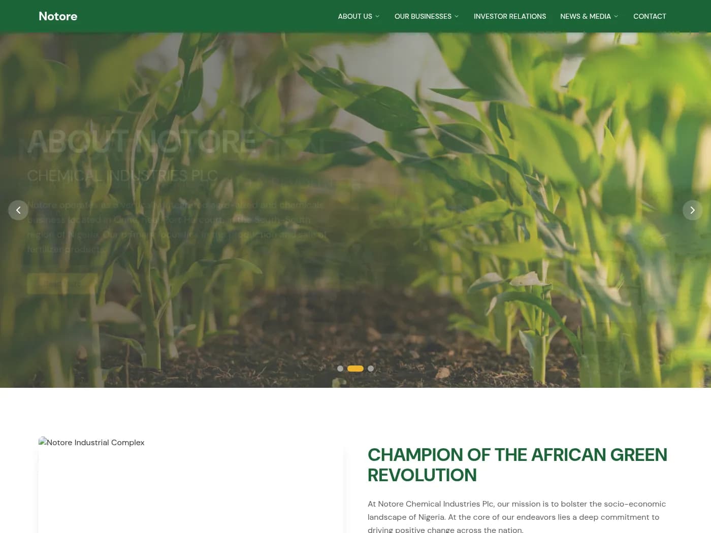 Notore Corporate Website High-Performance Clone