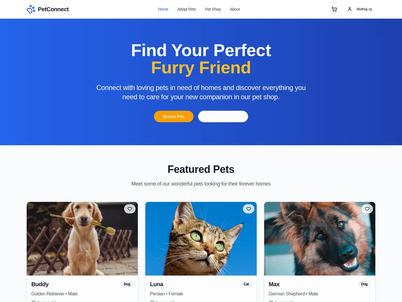 PetConnect: Pet Adoption Website
